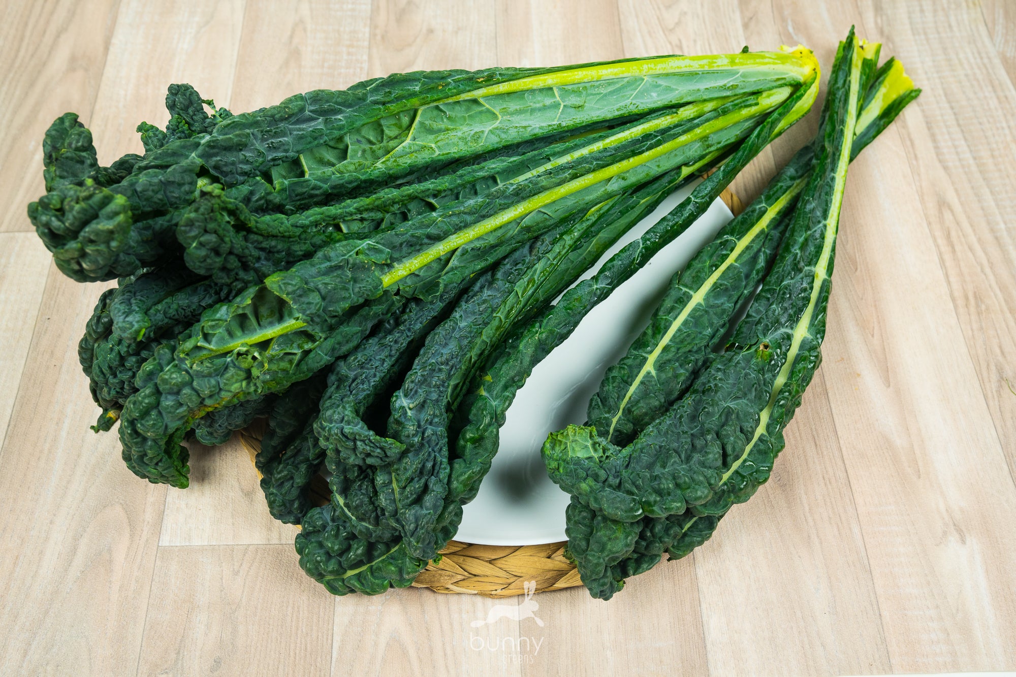 Schwarzkohl / Palmkohl – Bunny Greens
